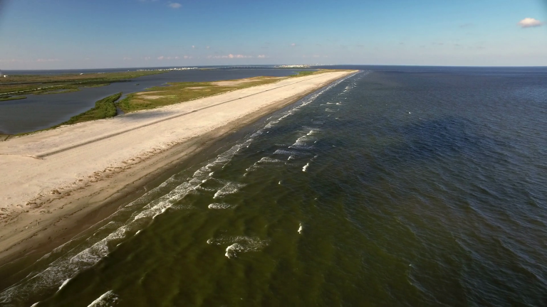 Playa para perros de Port Fourchon, LA - PlayasparaPerros.Com