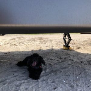 rutherford beach map - PlayasparaPerros.Com